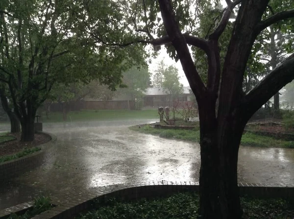 Level -82: "When It Rains, It Pours" | Backrooms Freewriting Wiki | Fandom