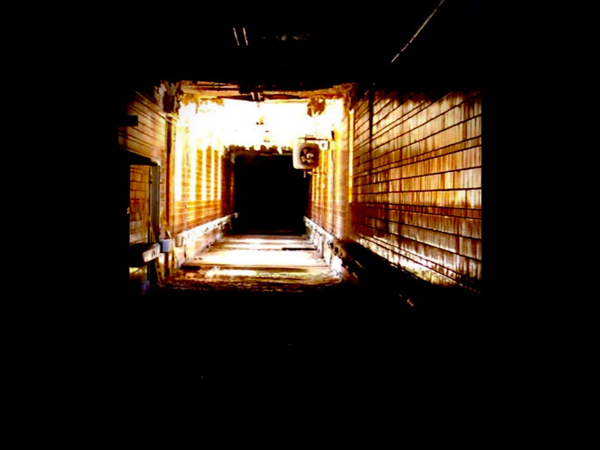 Level negative-1 | Backrooms Freewriting Wiki | Fandom