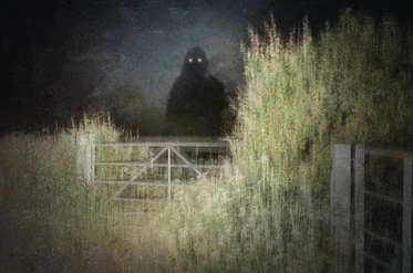 "Shadow" | Backrooms Freewriting Wiki | Fandom