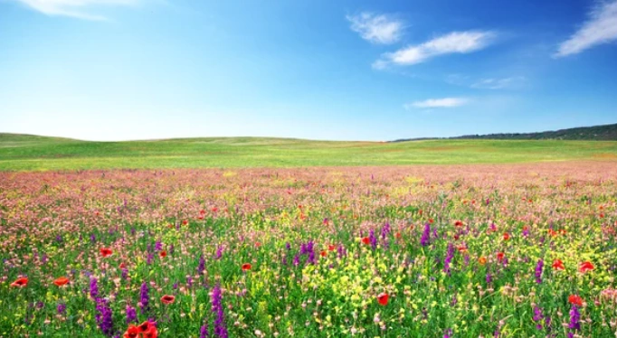 Level 2986: The Outside World | Backrooms Freewriting Wiki | Fandom