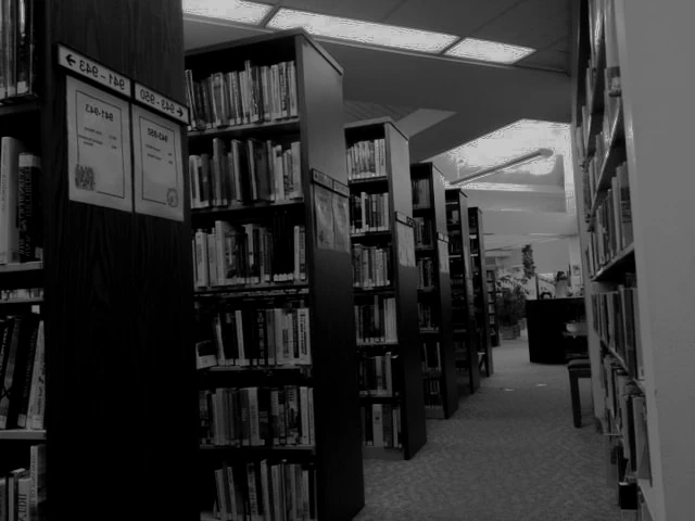 Semi-level -1: "Depressing Library" | Backrooms Freewriting Wiki | Fandom