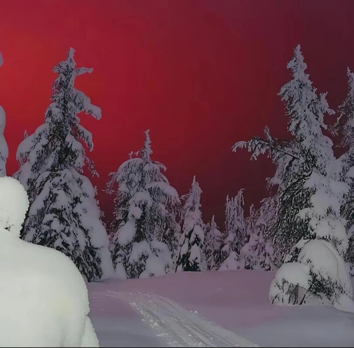 Level -998 | Backrooms Freewriting Wiki | Fandom