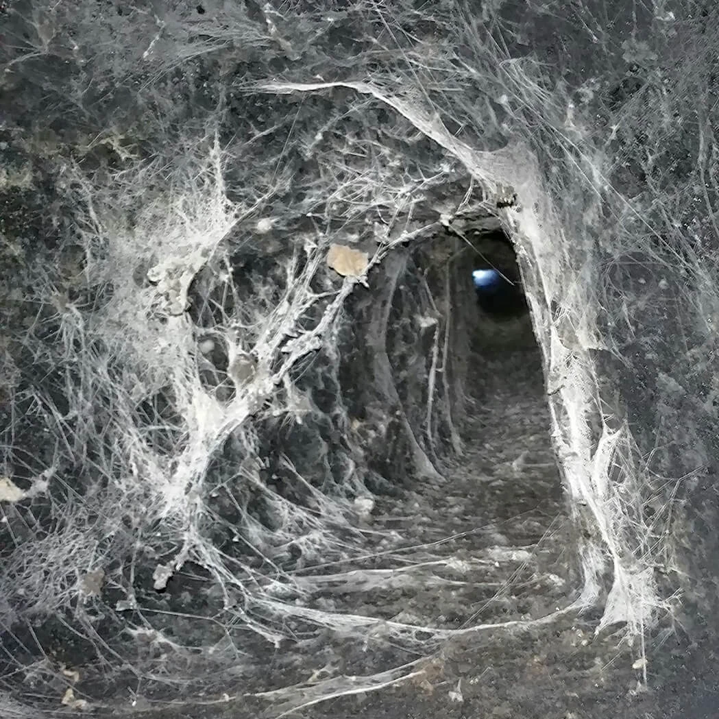 Level 8.9: "The Brood Caverns" | Backrooms Freewriting Wiki | Fandom