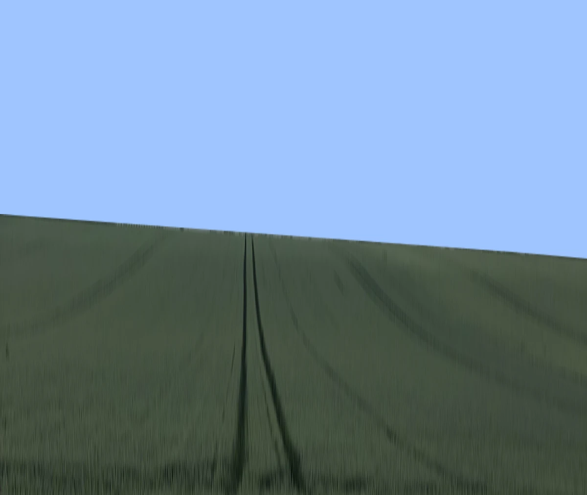 Level 3014: "The slowly expanding field." | Backrooms Freewriting Wiki ...