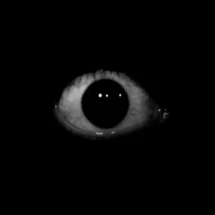 Level 6.6.6.6 | Backrooms Freewriting Wiki | Fandom