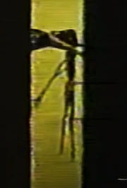 Bacteria (This will not delete) | Backrooms Freewriting Wiki | Fandom