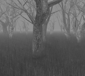 Level 35 | Backrooms: Generation Error Wiki | Fandom