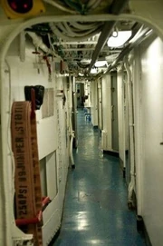 Level 17: The carrier | Backrooms infinite Plus Wiki | Fandom
