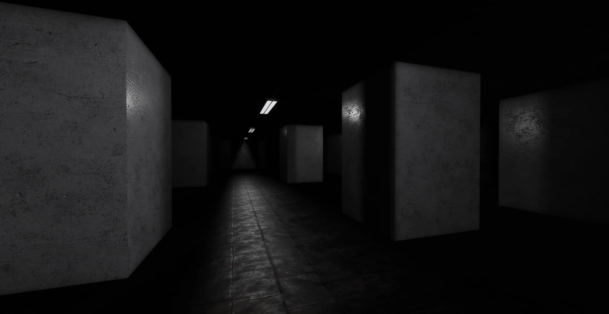 Habitable Zone | Backrooms Legacy Wiki | Fandom