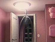 Level 974: "Kitty's House" | Backrooms Liminal Cannon Wiki | Fandom