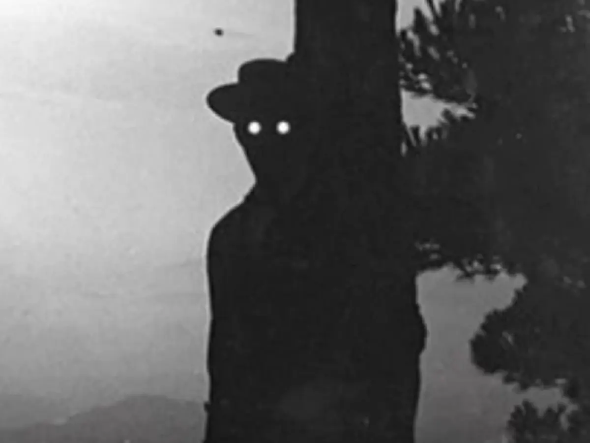 Entity 100: "Shadow Man You Known Who i am" | Backrooms Liminal Cannon ...