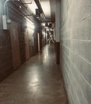 Entity 010: "Skin-Removers" | Backrooms Liminal Cannon Wiki | Fandom