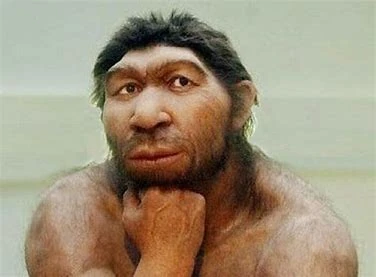 Entity 665: "Neanderthals" | Backrooms Liminal Cannon Wiki | Fandom