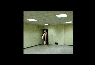 Entity 010: "Skin-Removers" | Backrooms Liminal Cannon Wiki | Fandom