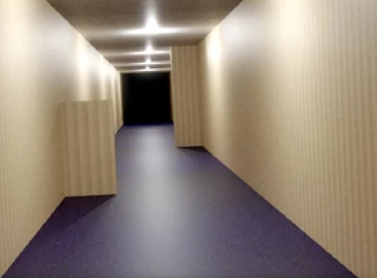 Level 53: "Twilight Tunnels" | Backrooms liminality Wiki | Fandom