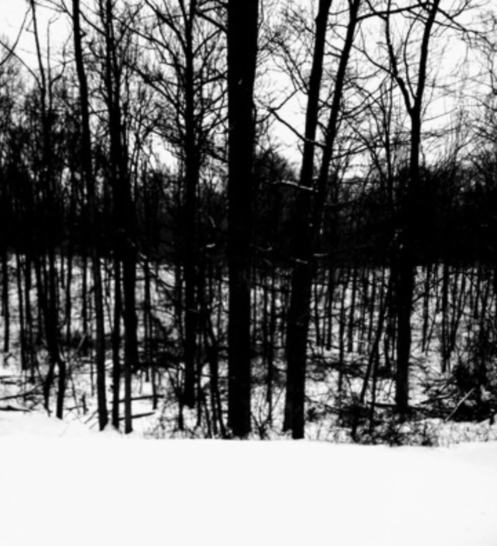 Level 129 | Backrooms liminality Wiki | Fandom