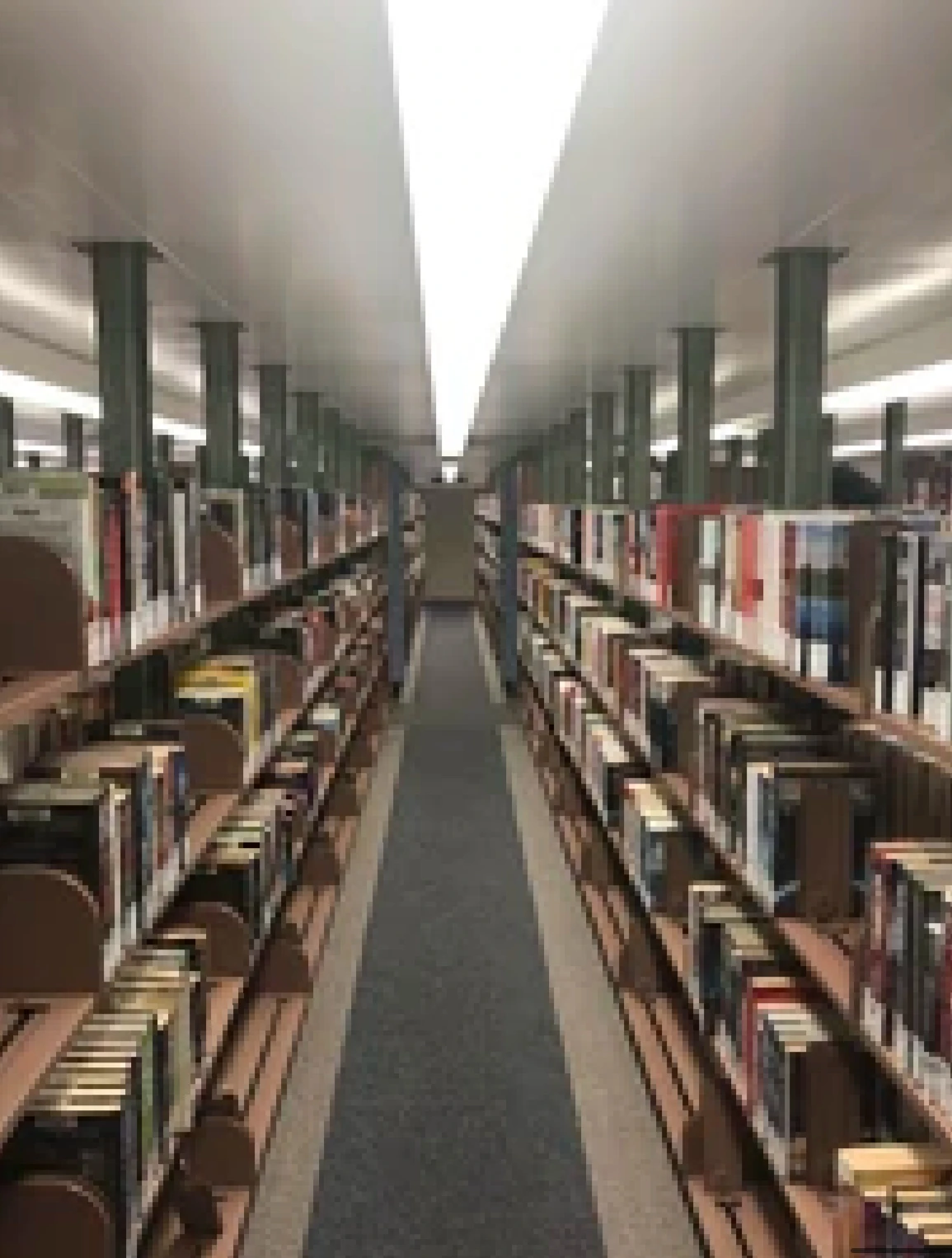 Level -1003: "The Echo Library" | Backrooms liminality Wiki | Fandom