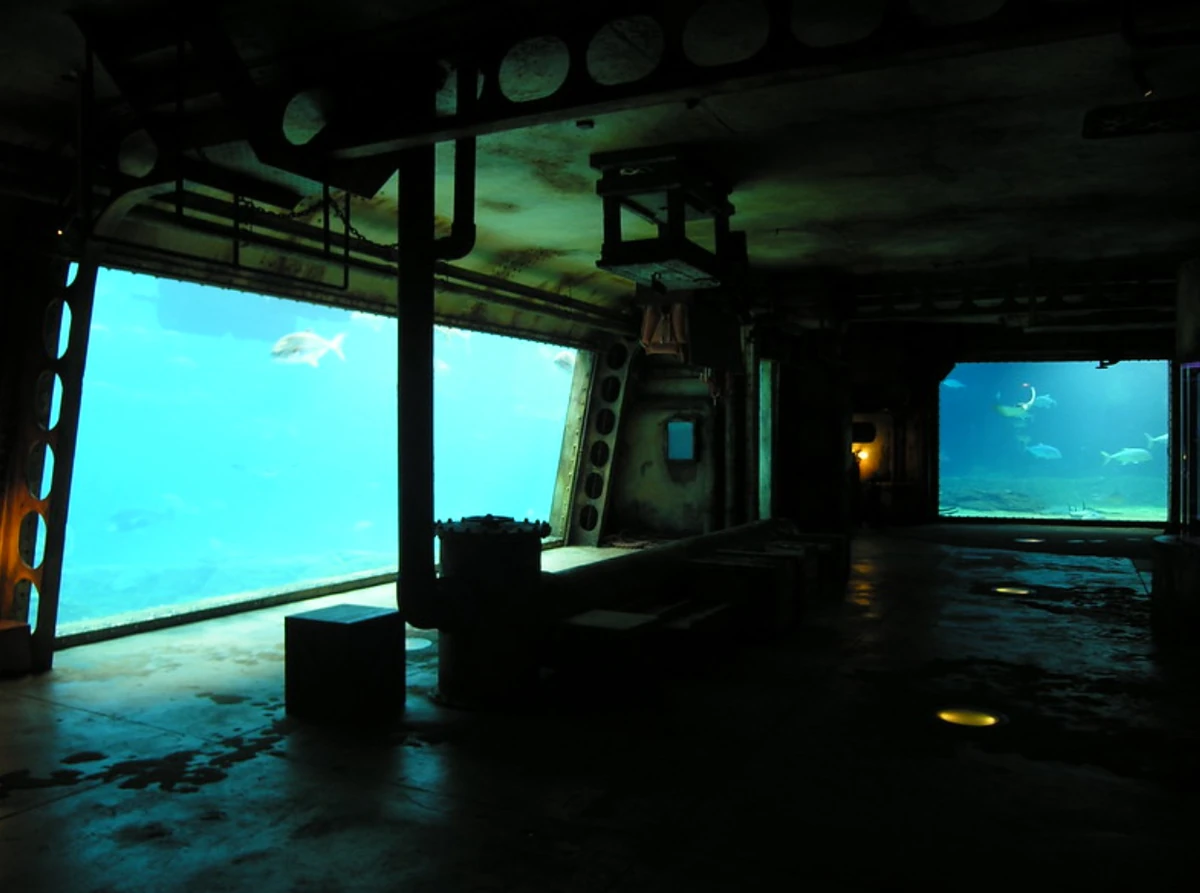 Level 43- Water world | Backrooms liminality Wiki | Fandom