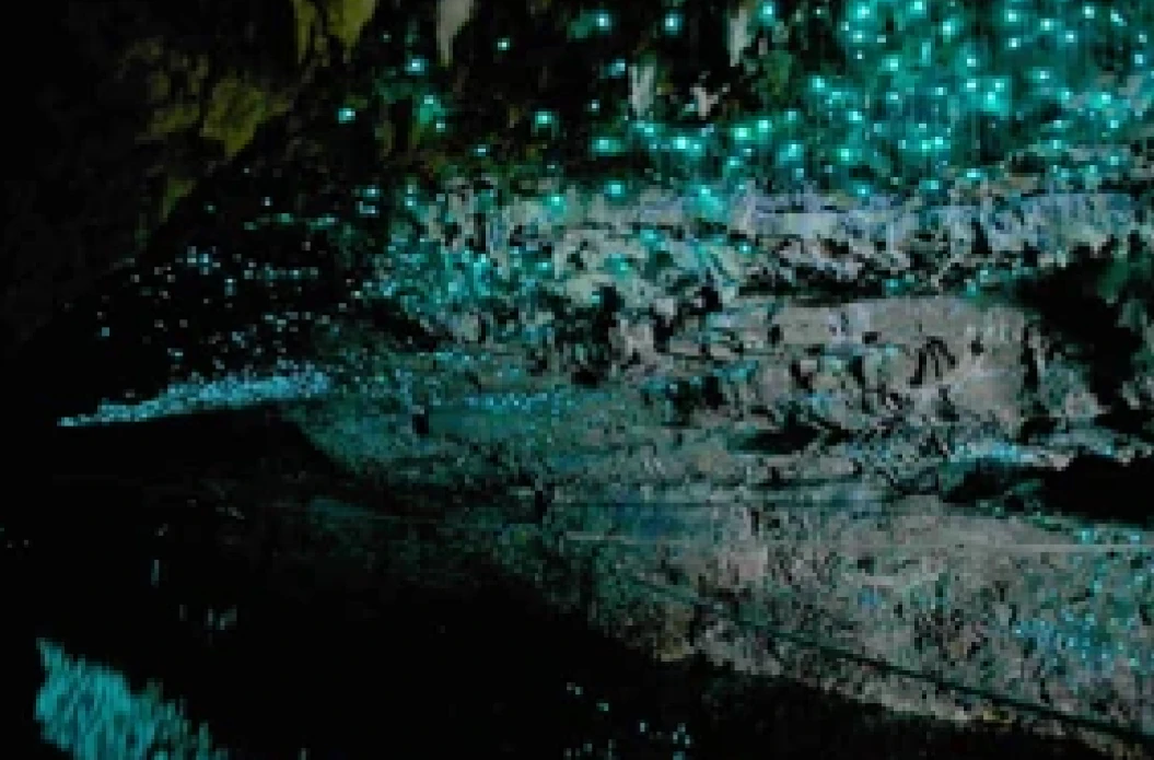 The Silent Waterfalls | Backrooms liminality Wiki | Fandom