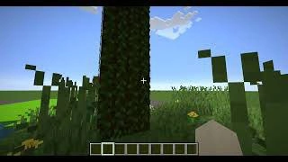 Уровень 257 | The Backrooms Minecraft HomRoma Wiki | Fandom