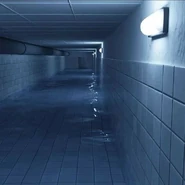 The Poolrooms | Backrooms Mythos Wiki | Fandom