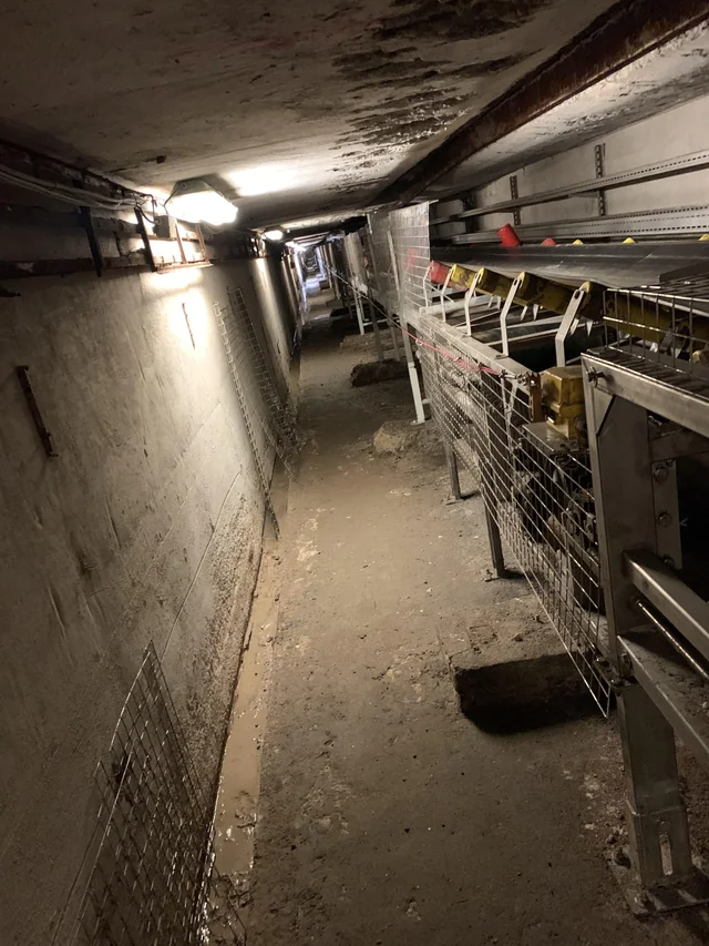 Level 2 | Backrooms Mythos Wiki | Fandom