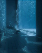 The Poolrooms | Backrooms Mythos Wiki | Fandom