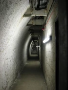 Level 2 | Backrooms Mythos Wiki | Fandom