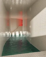 The Poolrooms | Backrooms Mythos Wiki | Fandom