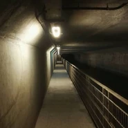 Level 2 | Backrooms Mythos Wiki | Fandom