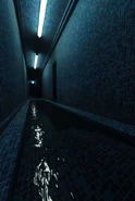 The Poolrooms | Backrooms Mythos Wiki | Fandom