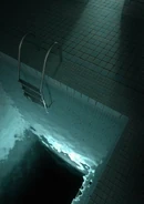 The Poolrooms | Backrooms Mythos Wiki | Fandom