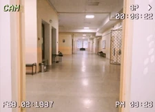 Level-0: "untextured" | Backrooms Negative Levels Wiki | Fandom