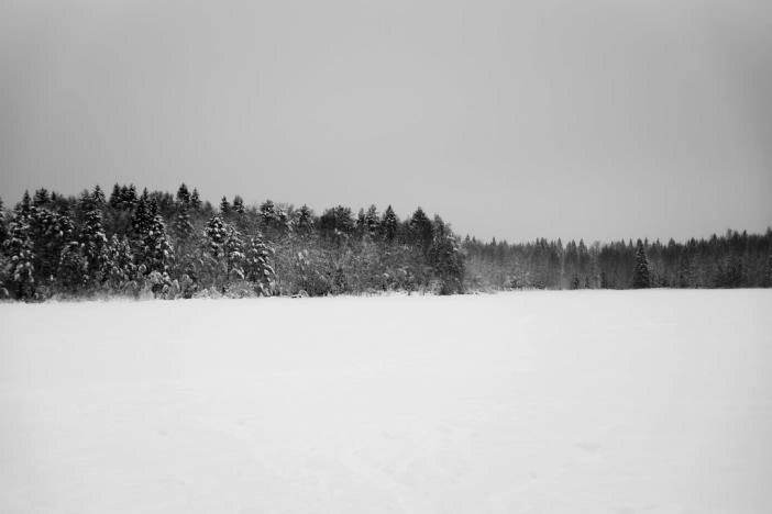 Level -5: "snowscape" | Backrooms Negative Levels Wiki | Fandom