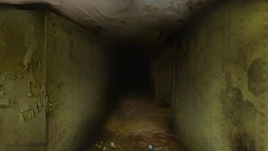 Level 0.11 Water Damage | Backrooms Negative Levels Wiki | Fandom