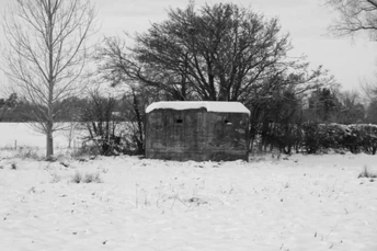 Level -5: "snowscape" | Backrooms Negative Levels Wiki | Fandom