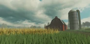 Level 10 - “Field of wheat” | Backrooms Redacted Wiki | Fandom