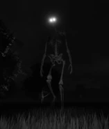 Level 32 - “Forest of the Skeleton Queen” | Backrooms Redacted Wiki ...