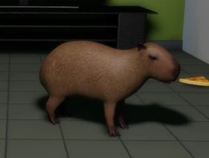 Capybara | Backrooms Redacted Wiki | Fandom