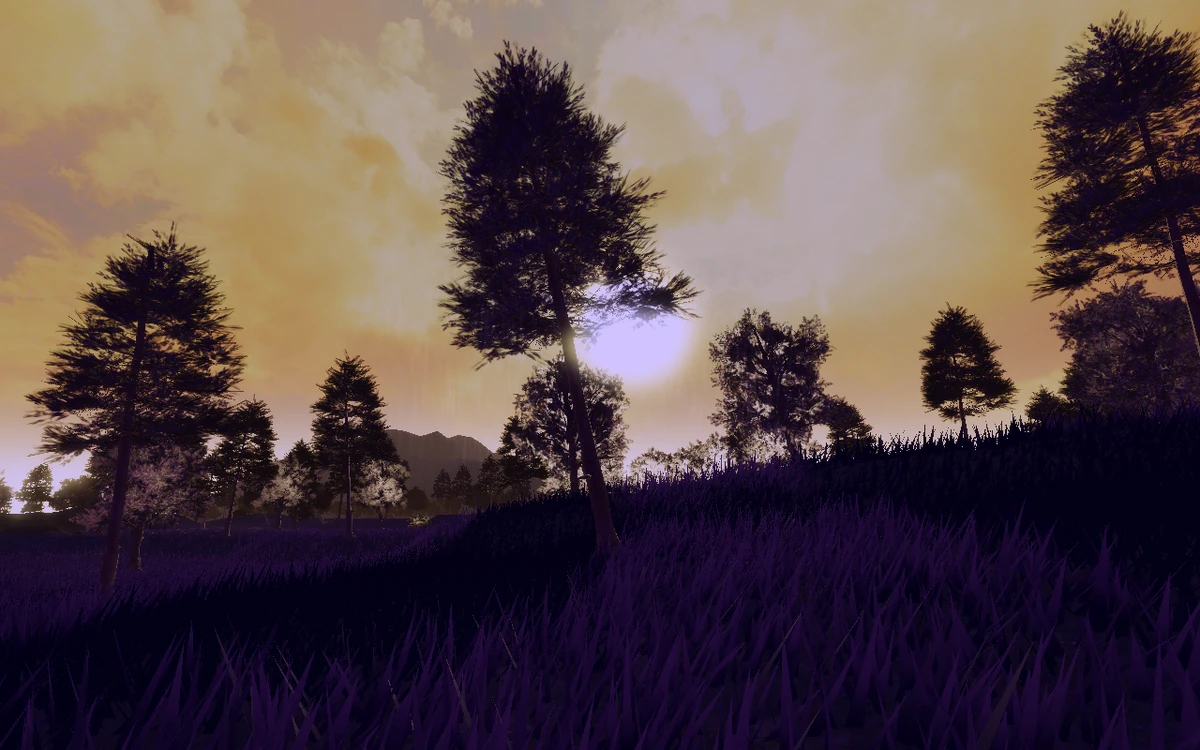 Level 26 - “Forest Of Psychosis” | Backrooms Redacted Wiki | Fandom