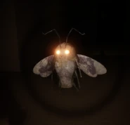 Entity 4 - “Death Moths” | Backrooms Redacted Wiki | Fandom