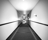 Level -1 - "Glitched halls" | Backrooms Redacted Wiki | Fandom