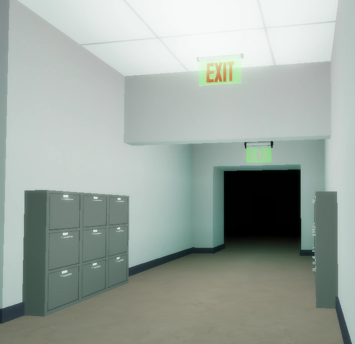 Level 16: "The Mental Asylum" | Backrooms Redacted Wiki | Fandom