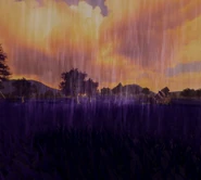 Level 26: "Forest of Psychosis" | Backrooms Redacted Wiki | Fandom