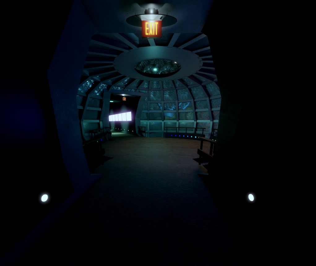 Level 43 | Backrooms Redacted Wiki | Fandom