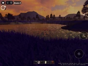 Level 26: "Forest of Psychosis" | Backrooms Redacted Wiki | Fandom