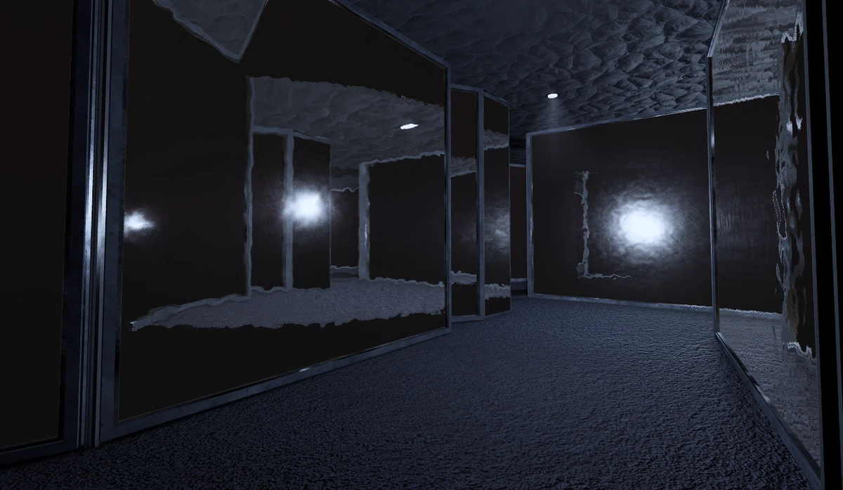Level -3: "Reflections" | Backrooms Redacted Wiki | Fandom