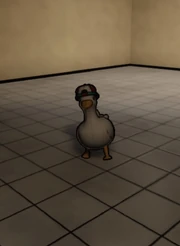 Level 44 | Backrooms Redacted Wiki | Fandom