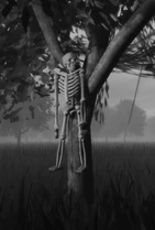 Level 32 | Backrooms Redacted Wiki | Fandom