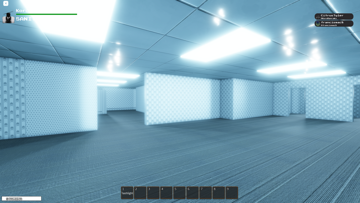 Level 0.3: “The Icy Rooms” | Backrooms Redacted Wiki | Fandom